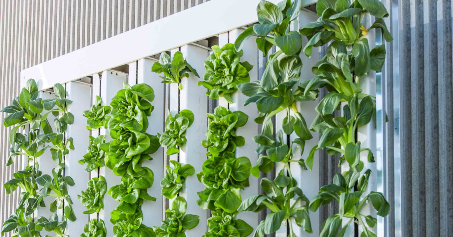 Vertical Farms Are There Any In The World